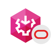 SSIS Data Flow Components for Oracle – SenseQuiet Technologies